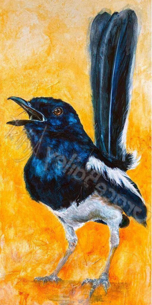 Wren - Grace Bailey Artist